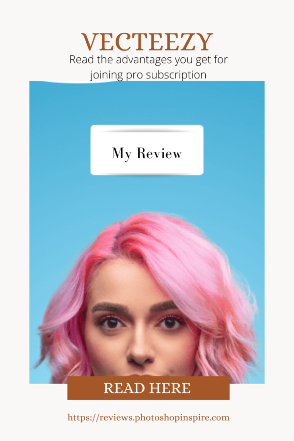 Vecteezy Review – Amazing photography, videos & Vectors - Reviews